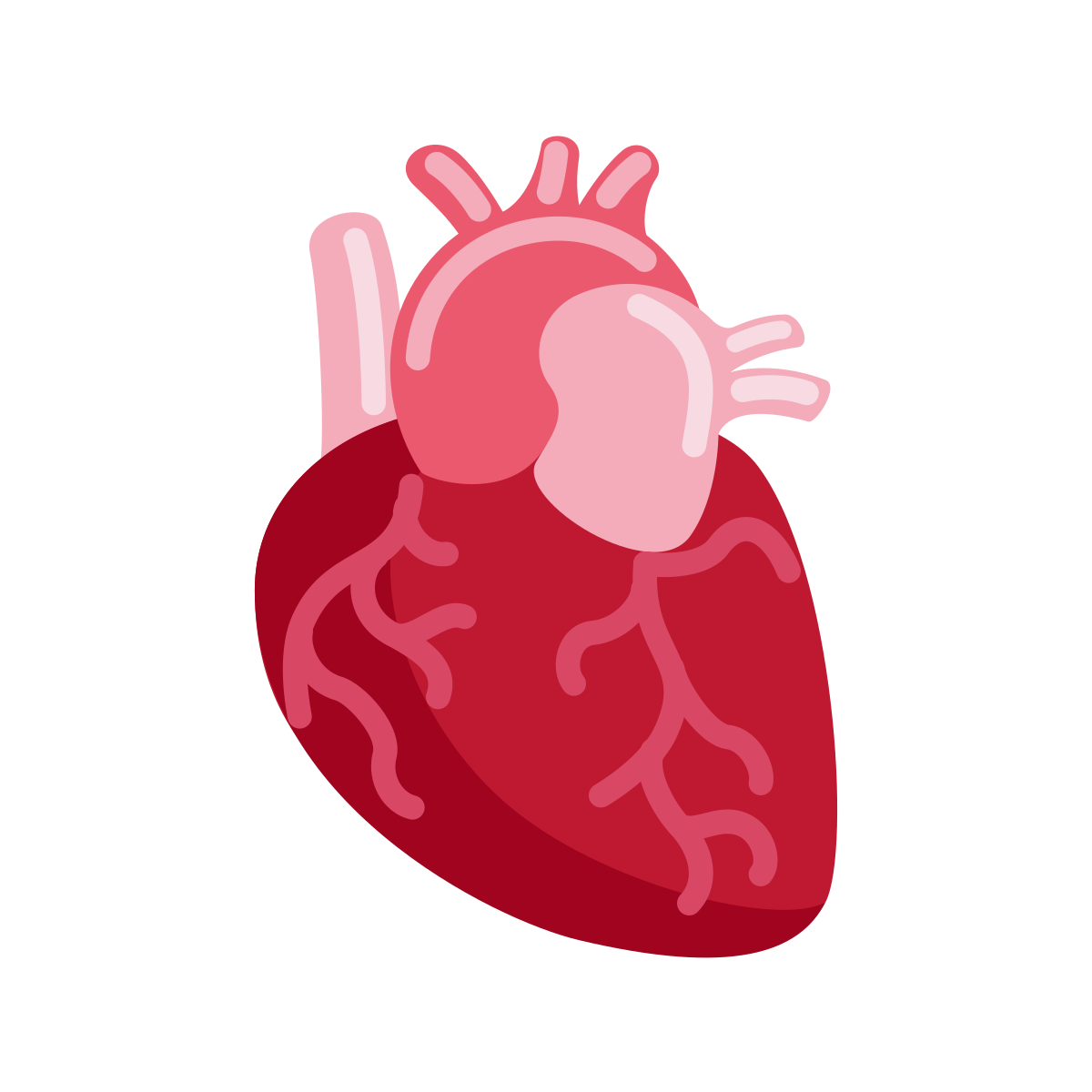 🫀 Anatomical Heart Emoji - What Emoji 🧐