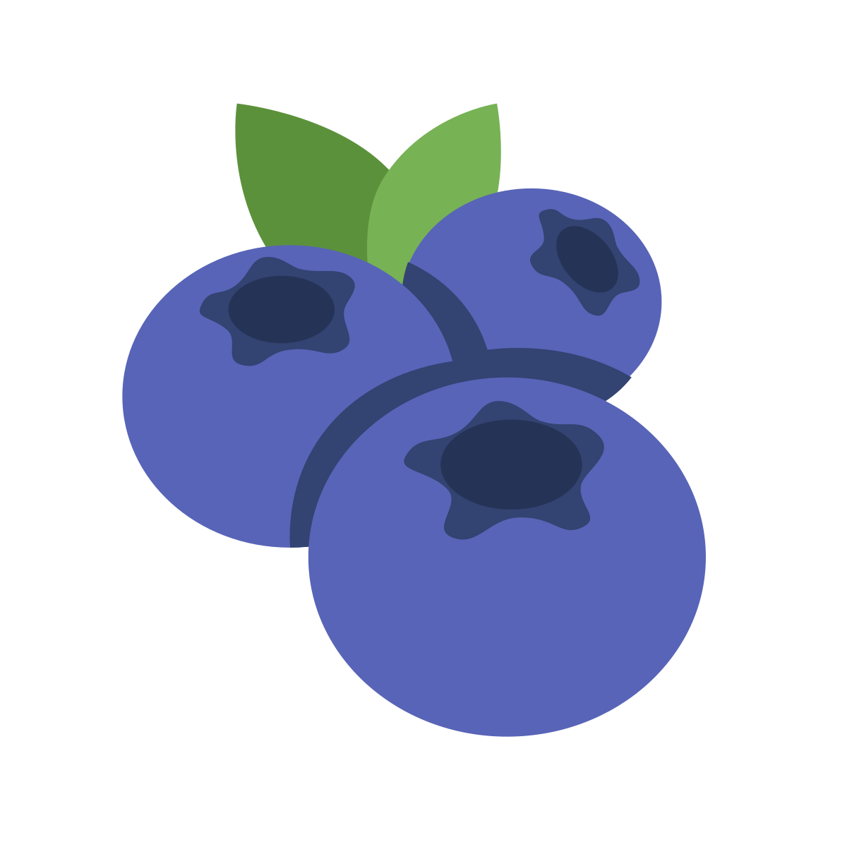 🫐 Blueberries Emoji - What Emoji 🧐