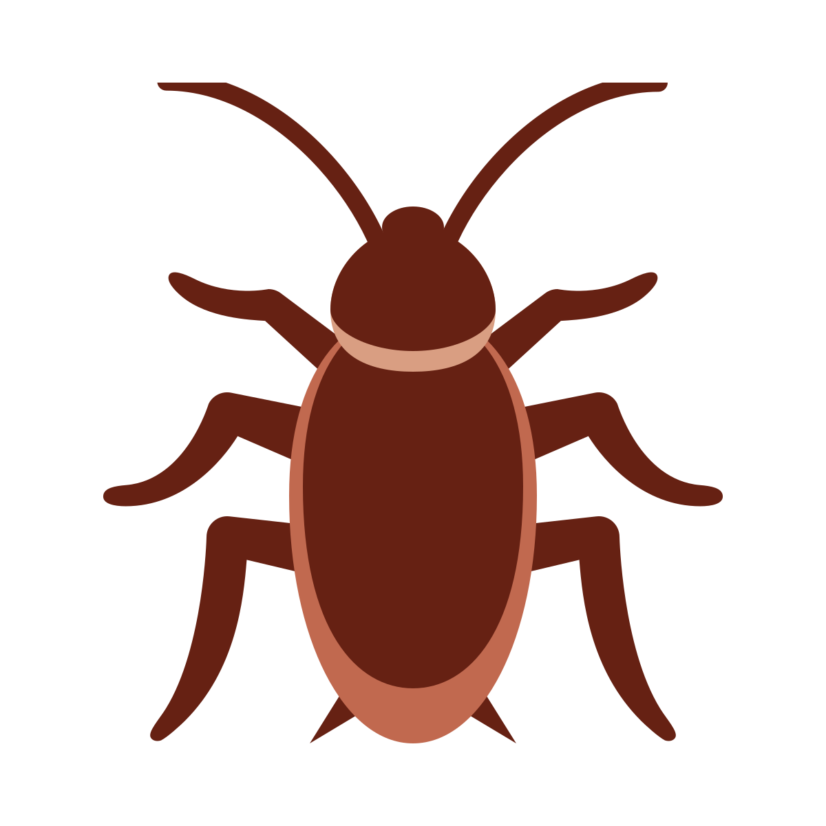 🪳 Cockroach Emoji - What Emoji 🧐