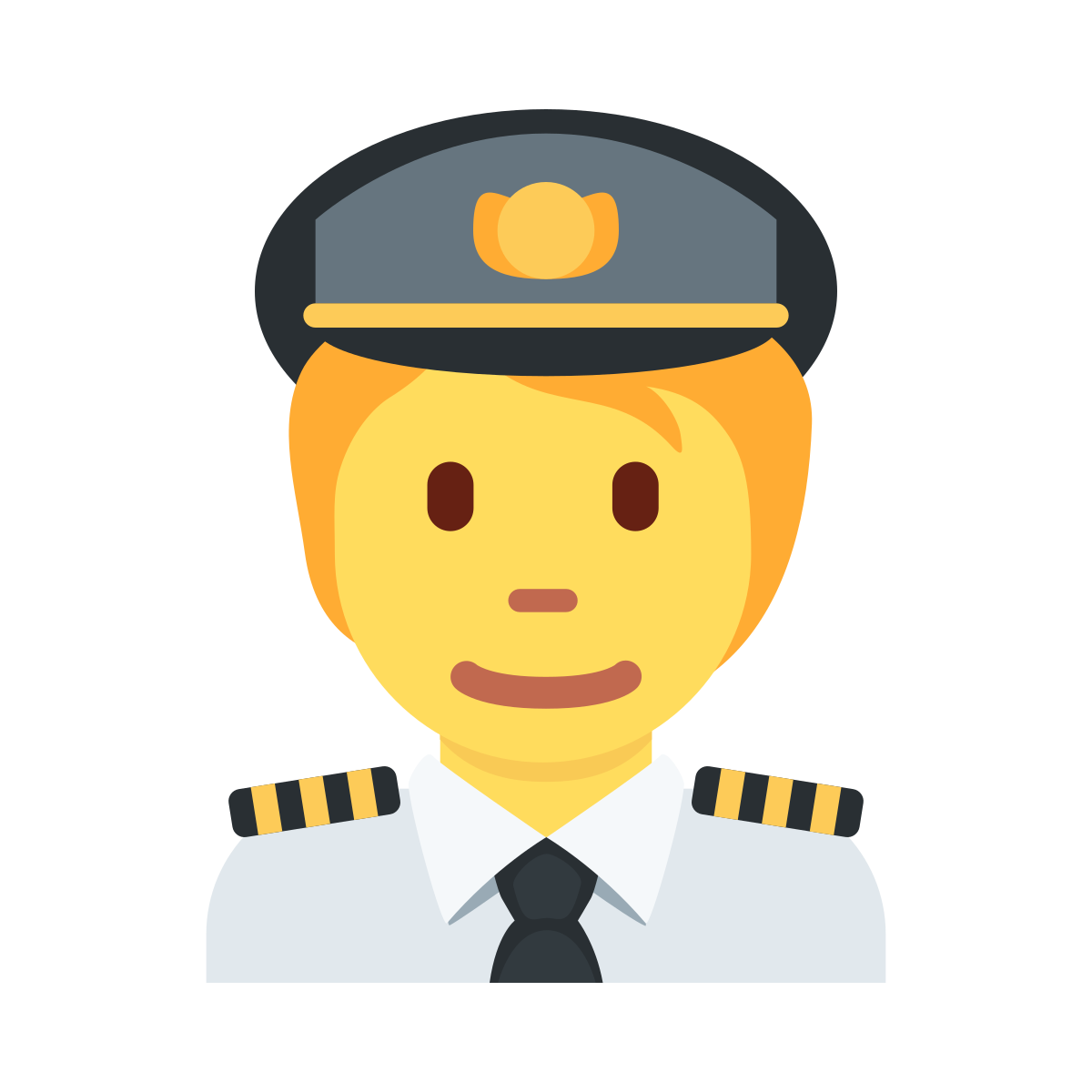 🧑‍ ️ Pilot Emoji - What Emoji 🧐