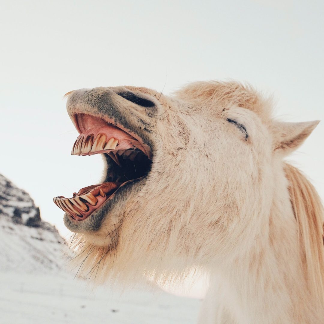 🤣 ROFL Emoji Guide - What Emoji 🧐